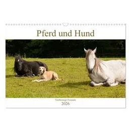 Pferd und Hund - Vierbeinige Freunde (Wandkalender 2026 DIN A3 quer), Calvendo Monatskalender