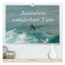 Calvendo Australiens wunderbare Tiere (hochwertiger Premium Wandkalender 2026 DIN A2 quer), Kunstdruck in Hochglanz