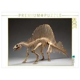 Calvendo Puzzle Dinosaurier Spinosaurus-Skelett mit langem Kiefer und R&uuml;ckensegel 1000 Teile Lege-Gr&ouml;&szlig;e 64x48cm Foto-Puzzle f&uuml;r gl&uuml;ckliche Stunden