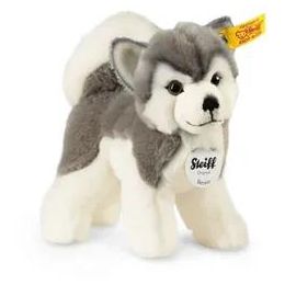Steiff 104985 - Bernie Husky, stehend, Pl&uuml;sch, 17 cm
