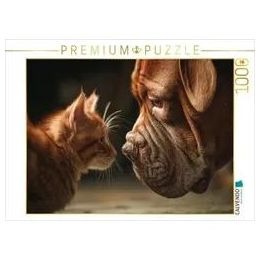 Calvendo Puzzle Ein Motiv aus dem Kalender Hund und Katze - Tierische Freunde 1000 Teile Lege-Gr&ouml;&szlig;e 64x48cm Foto-Puzzle f&uuml;r gl&uuml;ckliche Stunden
