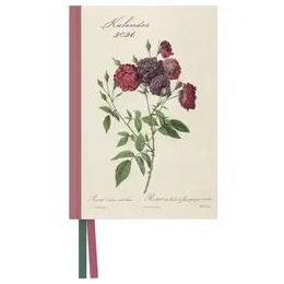 Neumann DUMONT - Redout&eacute;s Rosen Taschenkalender 2026 &ndash; Terminplaner mit Wochenkalendarium &ndash; 11 x 16 cm &ndash; Blumen-Design mit Rosen von P.J. Redout&eacute;