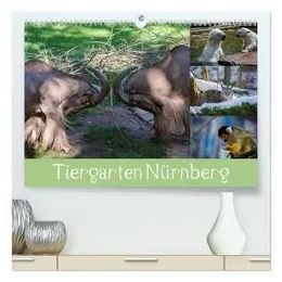 Calvendo Tiergarten N&uuml;rnberg (hochwertiger Premium Wandkalender 2026 DIN A2 quer), Kunstdruck in Hochglanz