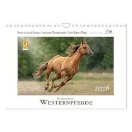 Faszination Westernpferde (Wandkalender 2026 DIN A4 quer), Calvendo Monatskalender