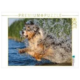 Calvendo Puzzle Spa&szlig; in der Elbe 1000 Teile Lege-Gr&ouml;&szlig;e 64x48cm Foto-Puzzle f&uuml;r gl&uuml;ckliche Stunden