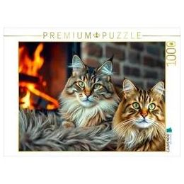 Calvendo Puzzle Main Coons - Kuscheln am offenen Kamin 1000 Teile Lege-Gr&ouml;&szlig;e 64x48cm Foto-Puzzle f&uuml;r gl&uuml;ckliche Stunden