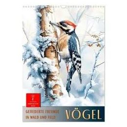 V&ouml;gel - gefiederte Freunde in Wald und Feld (Wandkalender 2026 DIN A3 hoch), Calvendo Monatskalender