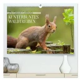 Calvendo Das Eurasische Eichh&ouml;rnchen - Kunterbuntes Waldtreiben (hochwertiger Premium Wandkalender 2026 DIN A2 quer), Kunstdruck in Hochglanz