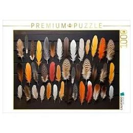 Calvendo Puzzle Federsammlung - bunte Federn arrangiert 1000 Teile Lege-Gr&ouml;&szlig;e 64x48cm Foto-Puzzle f&uuml;r gl&uuml;ckliche Stunden