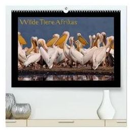 Calvendo Wilde Tiere Afrikas (hochwertiger Premium Wandkalender 2026 DIN A2 quer), Kunstdruck in Hochglanz
