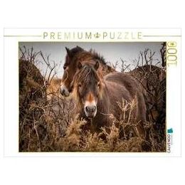 Calvendo Puzzle Wildes, rauhes Pferdeleben 1000 Teile Lege-Gr&ouml;&szlig;e 64x48cm Foto-Puzzle f&uuml;r gl&uuml;ckliche Stunden