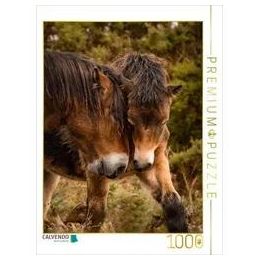 Calvendo Puzzle Mutter und Sohn 1000 Teile Lege-Gr&ouml;&szlig;e 64x48cm Foto-Puzzle f&uuml;r gl&uuml;ckliche Stunden