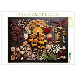 Calvendo Puzzle Pilzsammlung arrangiert 2000 Teile Lege-Gr&ouml;&szlig;e 90x67cm Foto-Puzzle f&uuml;r gl&uuml;ckliche Stunden