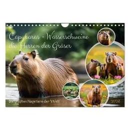 Capybaras - Wasserschweine die Herren der Gr&auml;ser (Wandkalender 2026 DIN A4 quer), Calvendo Monatskalender