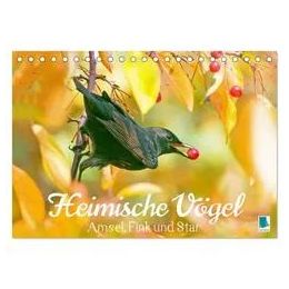 Amsel, Fink und Star: Heimische V&ouml;gel (Tischkalender 2026 DIN A5 quer), Calvendo Monatskalender