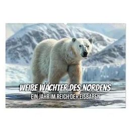 Wei&szlig;e W&auml;chter des Nordens: Ein Jahr im Reich der Eisb&auml;ren (Wandkalender 2026 DIN A2 quer), Calvendo Monatskalender
