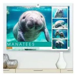 Calvendo Manatees. Faszinierende Rundschwanzseek&uuml;he (hochwertiger Premium Wandkalender 2026 DIN A2 quer), Kunstdruck in Hochglanz