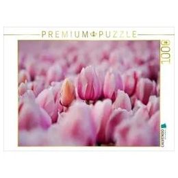 Calvendo Puzzle Rosa Tulpen in Julianadorp 1000 Teile Lege-Gr&ouml;&szlig;e 64x48cm Foto-Puzzle f&uuml;r gl&uuml;ckliche Stunden