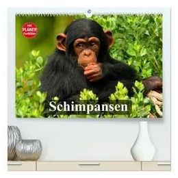Calvendo Schimpansen (hochwertiger Premium Wandkalender 2026 DIN A2 quer), Kunstdruck in Hochglanz