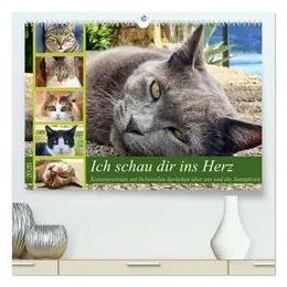Calvendo Ich schau dir ins Herz (hochwertiger Premium Wandkalender 2026 DIN A2 quer), Kunstdruck in Hochglanz