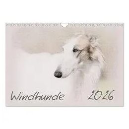 Windhunde 2026 (Wandkalender 2026 DIN A4 quer), Calvendo Monatskalender