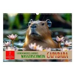 Capybara - liebenswertes gro&szlig;es Wasserschwein (Wandkalender 2026 DIN A3 quer), Calvendo Monatskalender