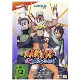 Naruto Shippuden - Staffel 12 - Box 2 - Uncut [2 DVDs]