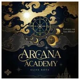 Silberfisch Arcana Academy 1: Arcana Academy