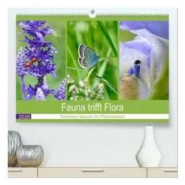 Calvendo Fauna trifft Flora - Tierischer Besuch im Pflanzenreich (hochwertiger Premium Wandkalender 2026 DIN A2 quer), Kunstdruck in Hochglanz