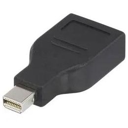 Renkforce RF-4174572 DisplayPort Adapter [1x Mini-DisplayPort Stecker - 1x DisplayPort Buchse] Schwarz vergoldete Steckkontakte