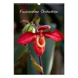 Faszination Orchideen (Wandkalender 2026 DIN A3 hoch), Calvendo Monatskalender
