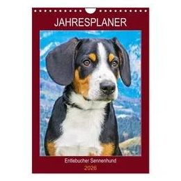 Jahresplaner Entlebucher Sennenhund (Wandkalender 2026 DIN A4 hoch), Calvendo Monatskalender