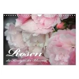Rosen, die K&ouml;nigin der Blumen (Wandkalender 2026 DIN A4 quer), Calvendo Monatskalender