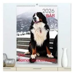 Calvendo B&Auml;R - Der Berner Sennenhund (hochwertiger Premium Wandkalender 2026 DIN A2 hoch), Kunstdruck in Hochglanz