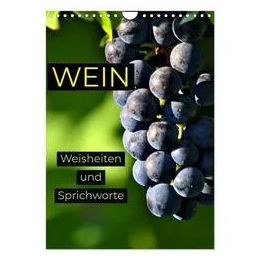 WEIN Weisheiten und Sprichworte (Wandkalender 2026 DIN A4 hoch), Calvendo Monatskalender