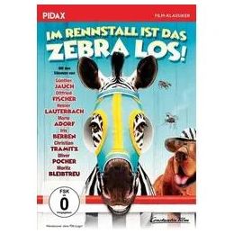 Im Rennstall ist das Zebra los! (Racing Stripes) / Liebenswert-witzige Kultkom&ouml;die im Stil von "Ein Schweinchen namens Babe" (Pidax Film-Klassiker)
