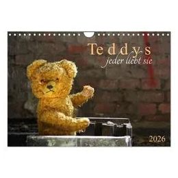 Teddys...jeder liebt sie (Wandkalender 2026 DIN A4 quer), Calvendo Monatskalender