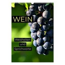 WEIN Weisheiten und Sprichworte (Wandkalender 2026 DIN A3 hoch), Calvendo Monatskalender