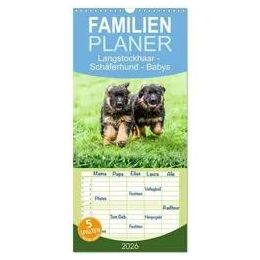 Familienplaner 2026 - Langstockhaar - Sch&auml;ferhund - Babys mit 5 Spalten (Wandkalender, 21 x 45 cm) Calvendo