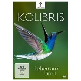 Polyband Kolibris - Leben am Limit