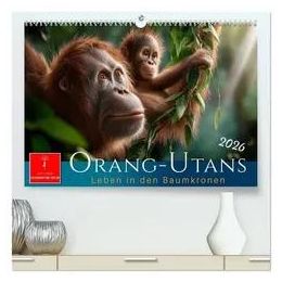 Calvendo Orang Utans - Leben in den Baumkronen (hochwertiger Premium Wandkalender 2026 DIN A2 quer), Kunstdruck in Hochglanz