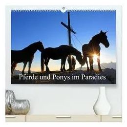 Calvendo Pferde und Ponys im Paradies (hochwertiger Premium Wandkalender 2026 DIN A2 quer), Kunstdruck in Hochglanz