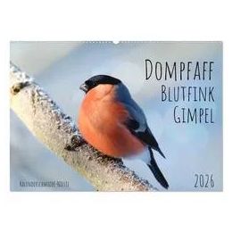 Dompfaff, Blutfink, Gimpel (Wandkalender 2026 DIN A2 quer), Calvendo Monatskalender