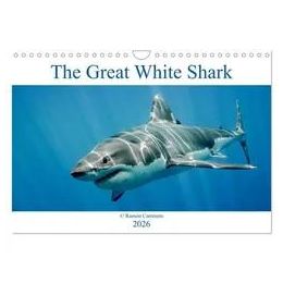 The Great White Shark: King of the Ocean (Wall Calendar 2026 DIN A4 landscape), Calvendo 12 Month Wall Calendar
