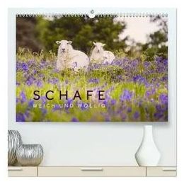 Calvendo Schafe - Weich und wollig (hochwertiger Premium Wandkalender 2026 DIN A2 quer), Kunstdruck in Hochglanz