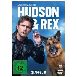 Hudson und Rex - Die komplette 6. Staffel (Fernsehjuwelen) [4 DVDs]