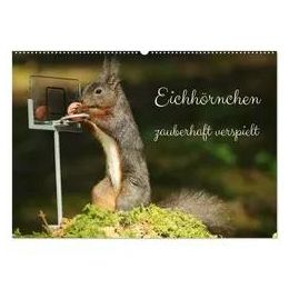 Eichh&ouml;rnchen - zauberhaft verspielt (Wandkalender 2026 DIN A2 quer), Calvendo Monatskalender