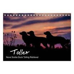 Toller - Nova Scotia Duck Tolling Retriever (Tischkalender 2026 DIN A5 quer), Calvendo Monatskalender