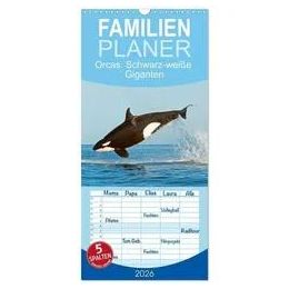Familienplaner 2026 - Orcas: Schwarz-wei&szlig;e Giganten mit 5 Spalten (Wandkalender, 21 x 45 cm) Calvendo