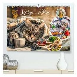 Calvendo Katzen-Alltag - Ein witziges Jahr mit Kater Tommy (hochwertiger Premium Wandkalender 2026 DIN A2 quer), Kunstdruck in Hochglanz